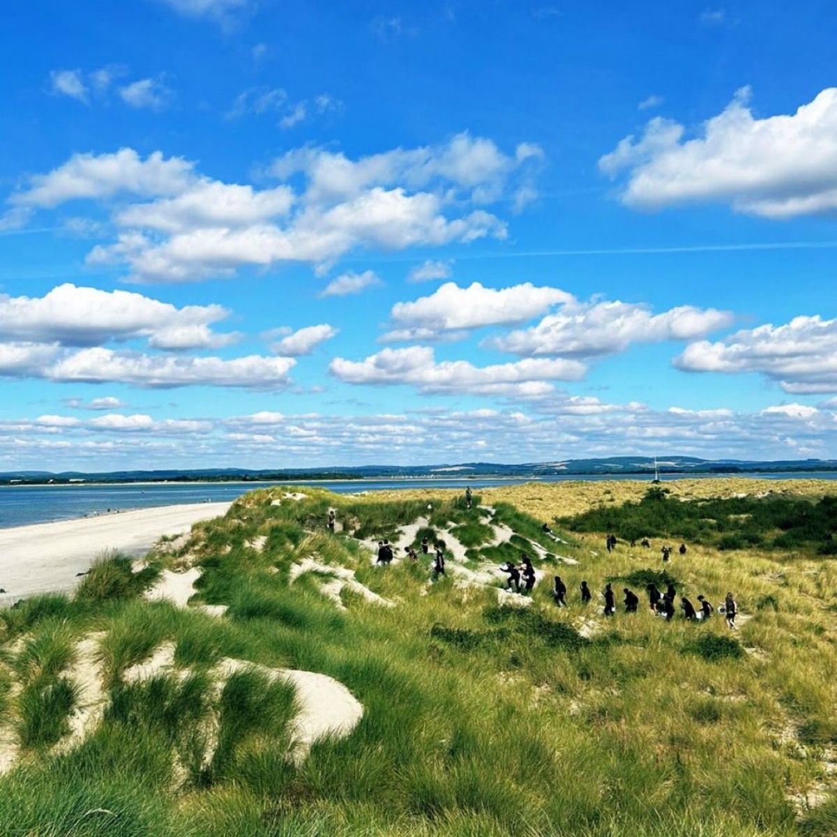 Coombe Wood School - Geography fieldwork